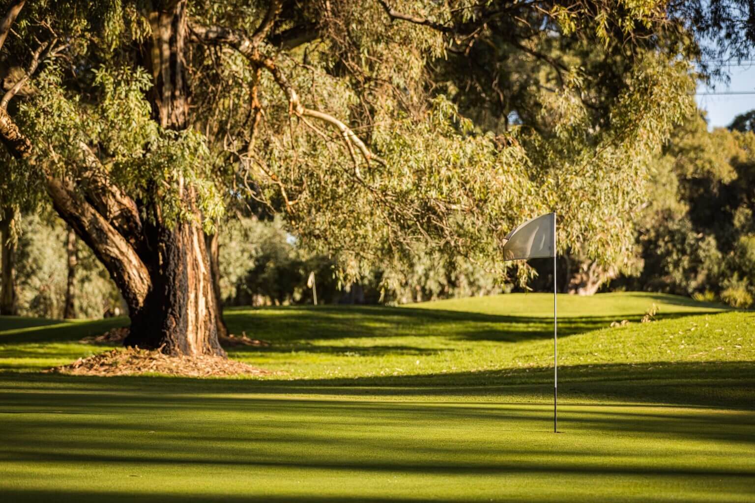 GOLF COURSE MAP + GALLERY – Little Para Golf Course