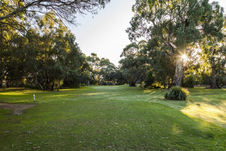 GOLF COURSE MAP + GALLERY – Little Para Golf Course