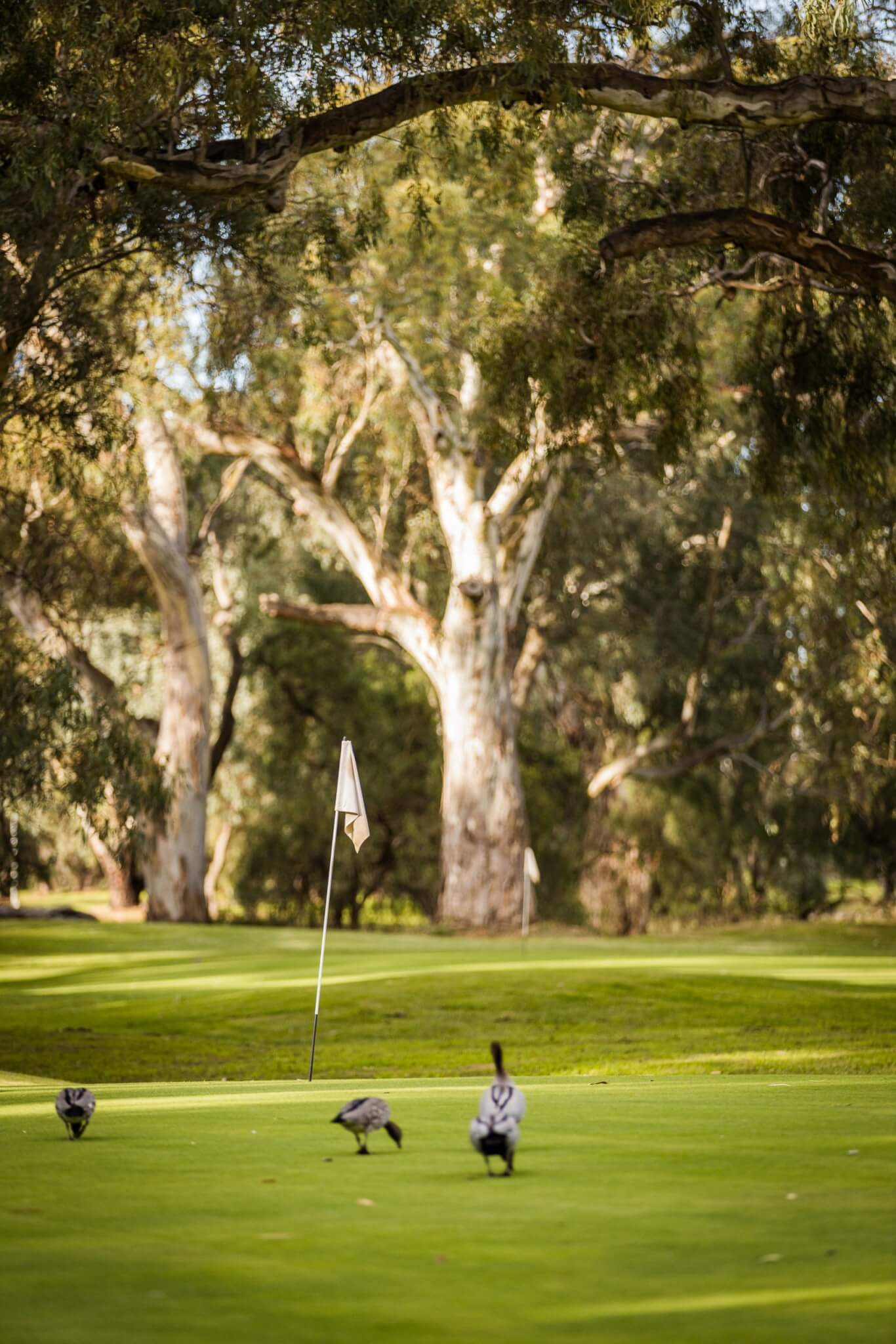 Little Para Golf Course