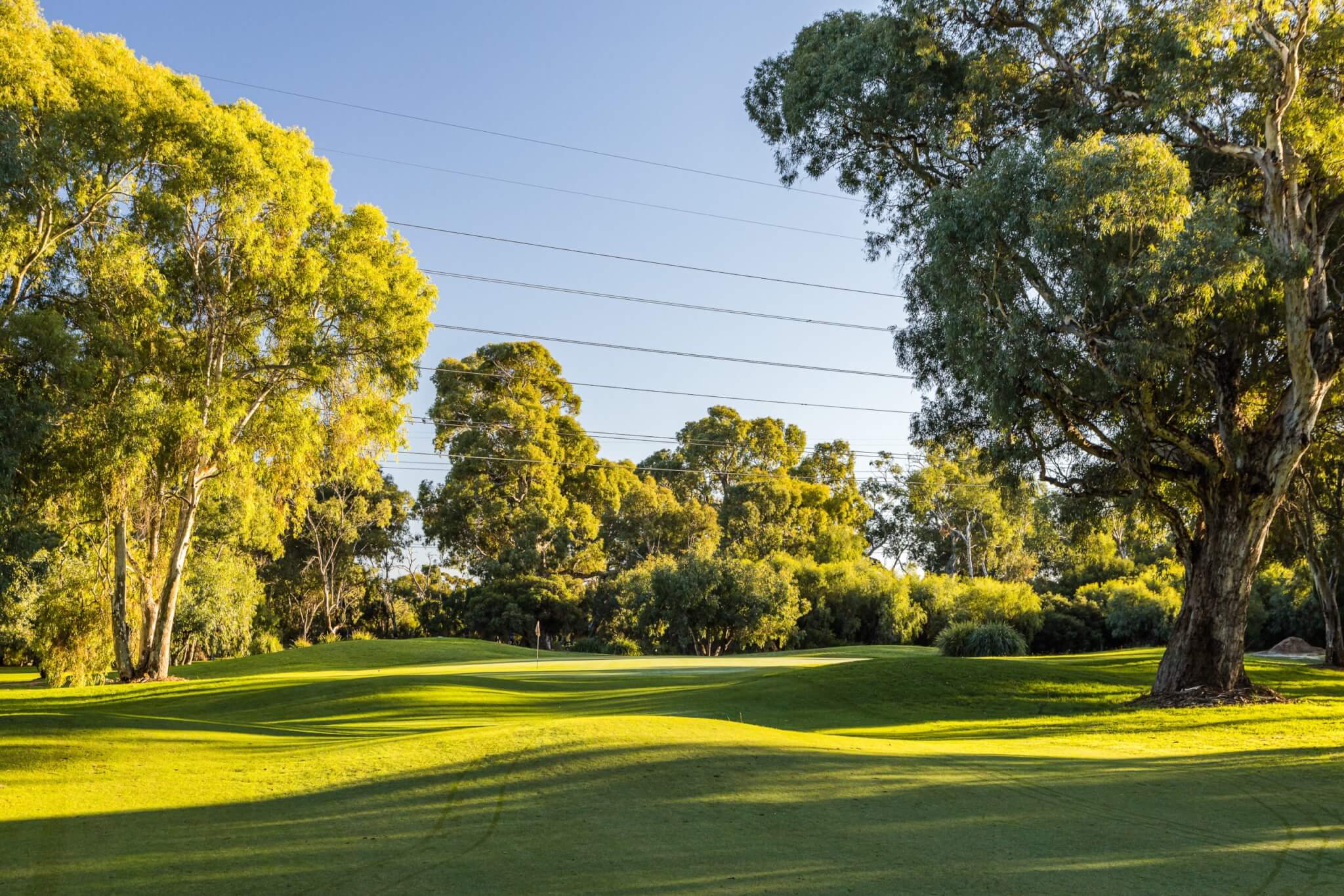 SEASON PASSES – Little Para Golf Course