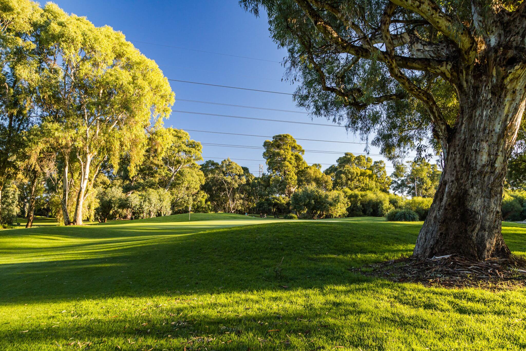 SEASON PASSES – Little Para Golf Course
