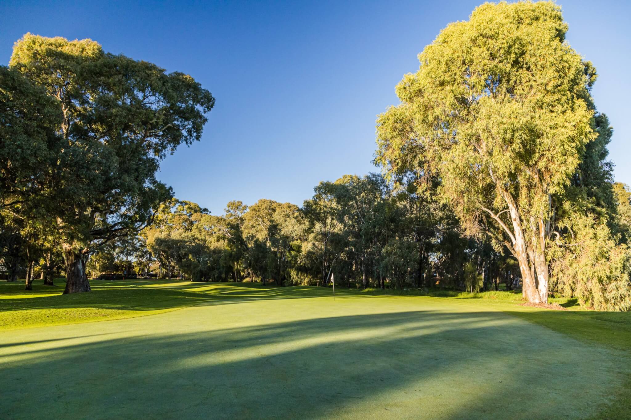 SEASON PASSES – Little Para Golf Course