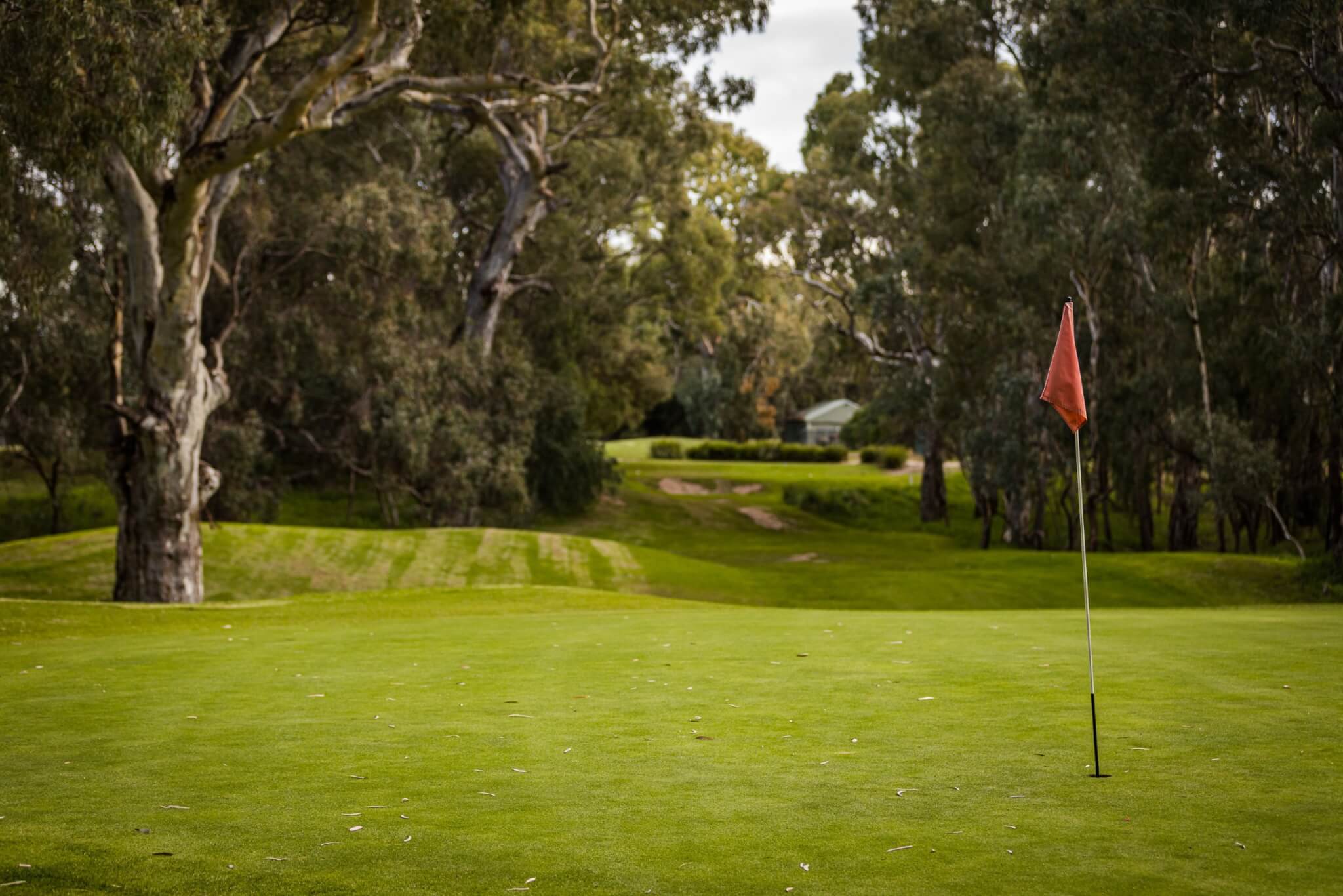 Little Para Golf Course